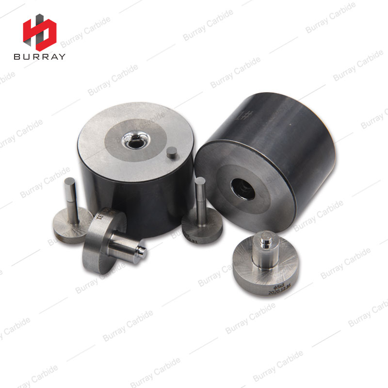 Tungsten Carbide Pressing Dies for Experiment - Sichuan Burray Cemented ...
